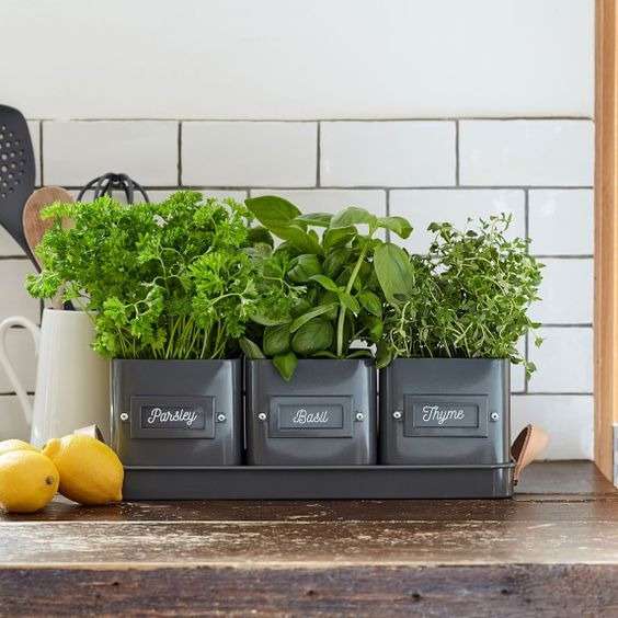 Kitchen Countertop Decoration: How to Elevate Your Kitchen carefully ...