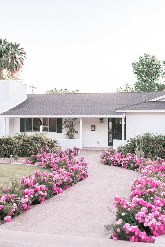 Creative Front Yard Decoration Ideas: How to Elevate Your Curb Appeal